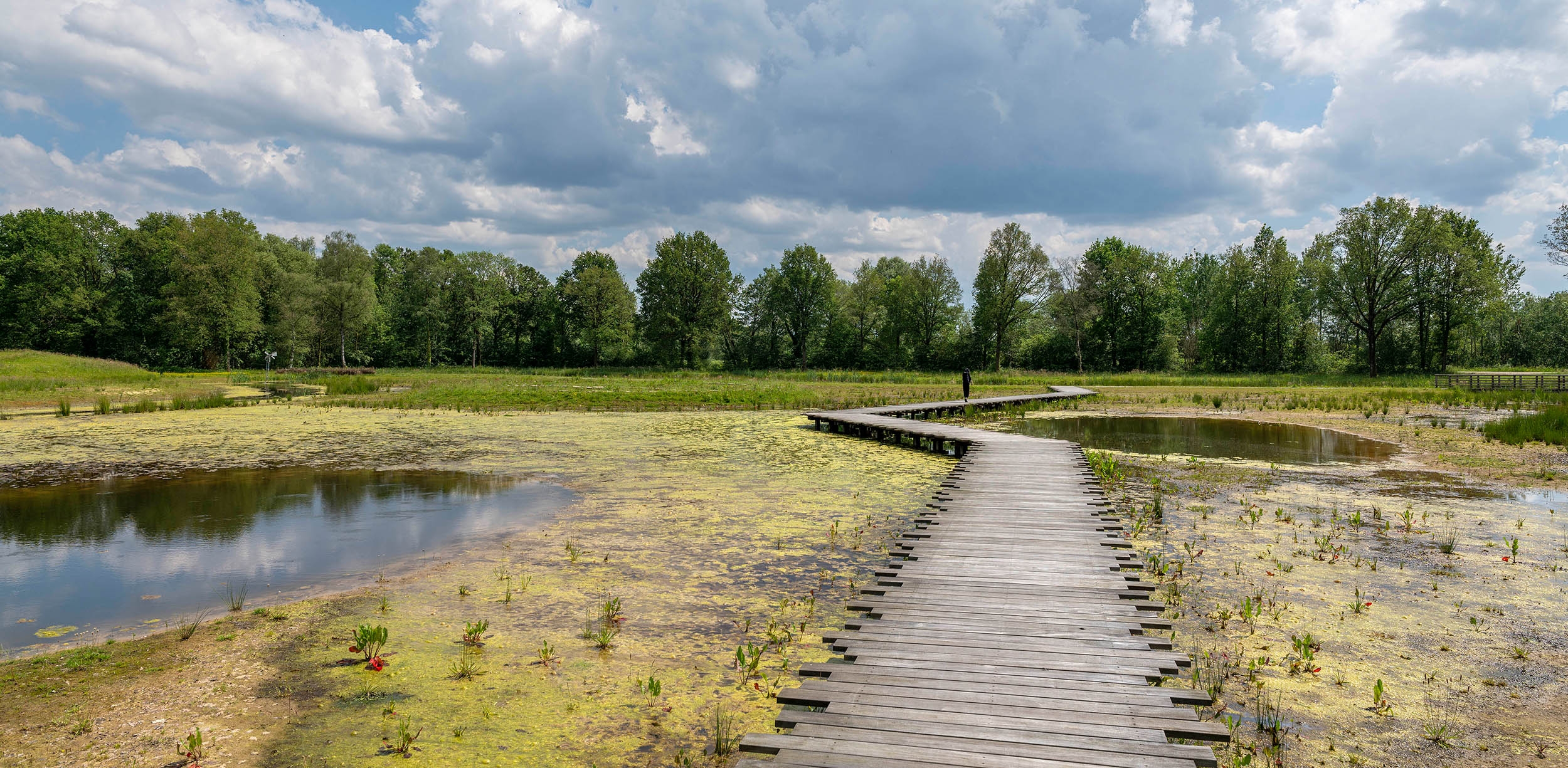 Natuurpark Assisië | MTD Landschapsarchitecten